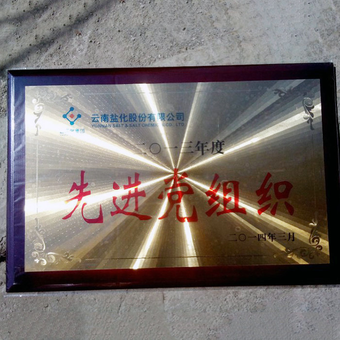 沙金金箔奖牌挂牌定做奖章奖状水晶奖杯定制做证书铜牌挂牌授权书