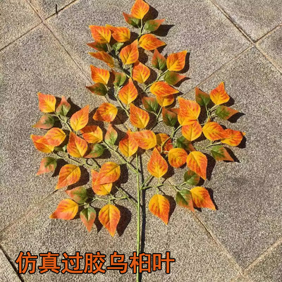 仿真单支乌桕叶假菩提树叶彩色树叶桦树叶银杏叶枯树枝装饰假叶子