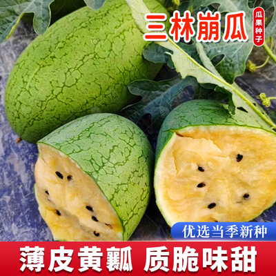 上海三林崩瓜种子超甜薄皮黄肉西瓜种籽春秋四季阳台老品种水果孑