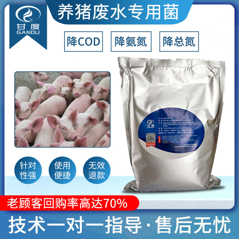 甘度养猪废水菌剂污水处理剂好氧菌曝气池活性净水硝化菌快速挂膜