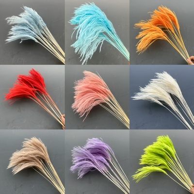 金丝草永生花干花花束 垂感小芦苇 家居装饰民宿摆设 拍摄道具