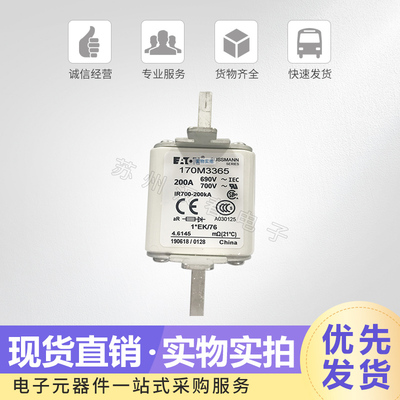 熔断器熔芯保险丝170M3365