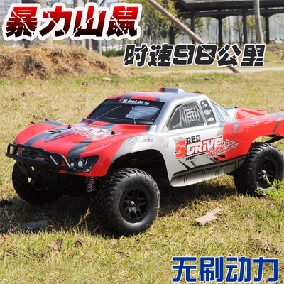 环奇727短卡遥控车模成人