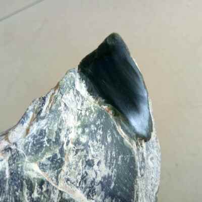 1655g新疆和田塔青山料原石 一细蓝调黑青牌子把件摆件吊坠雕刻料