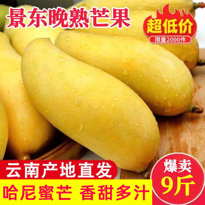 云南新鲜水果晚熟芒果景东芒现采现发5斤9斤包邮