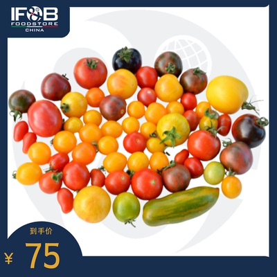 多彩小番茄 1.5kg Mix Color Cherry Tomatoes