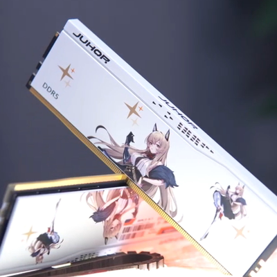 玖合玲珑 32GB(16GBx2)套装 6000 海力士A-die CL28  内存条