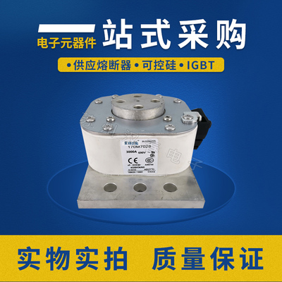 巴斯曼方体熔断器170M7026 170M7028 170M7031 170M7034全新供应