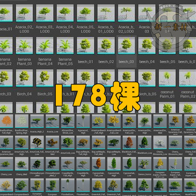 ue4 SpeedTree室外树木植物创建生长树库合集素材树木178棵带LOD