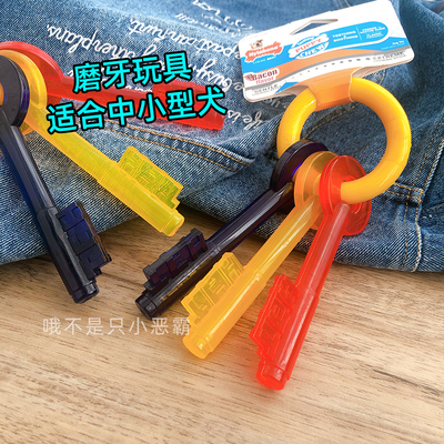 Nylabone狗狗磨牙玩具 中大型犬耐咬洁齿玩具咬胶法斗柴犬柯基