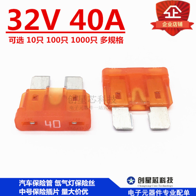 中号保险插片美国力特28740A