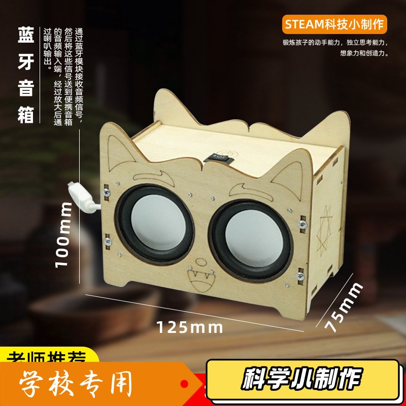 蓝牙音箱模型科技小制作小发明 小学生stem科学实验器材儿童科J01