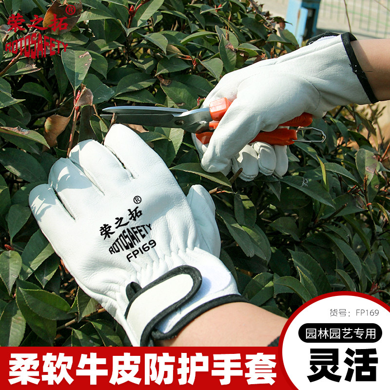 摘花椒手套防刺伤防扎手柔软头层牛皮园林园艺专用月季仙人球手套
