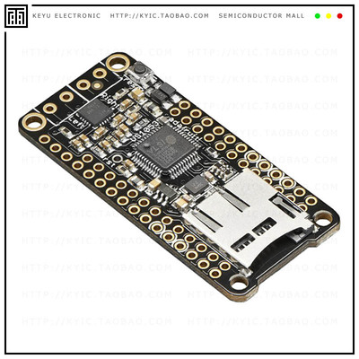 3436【MUSIC MAKER FEATHERWING W/ AMP -】