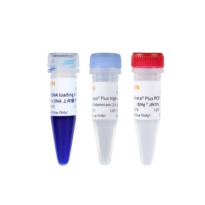 Hieff Canace® Plus High-Fidelity DNA Polymerase