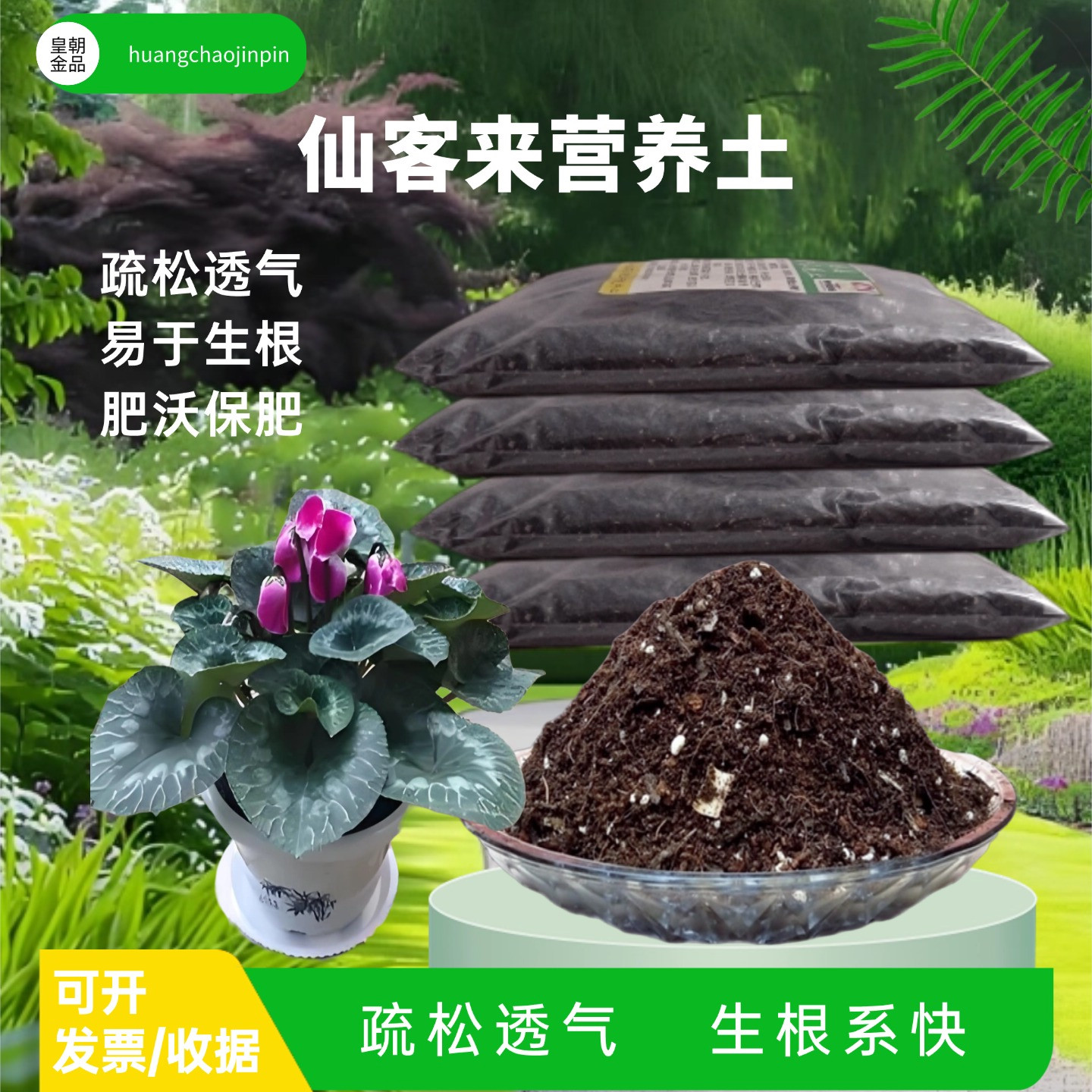仙客来兔耳花盆栽营养花土室内阳台花卉绿植物疏松育苗专用种植土