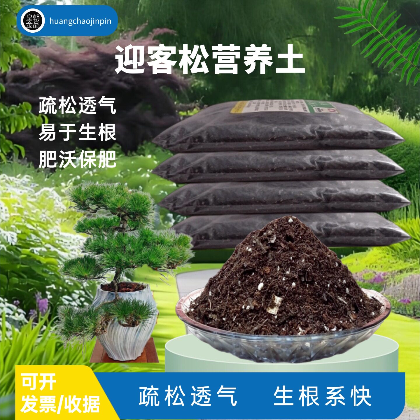 迎客松盆景黑松树营养土室内客厅盆栽绿植疏松育苗移栽专用种植土