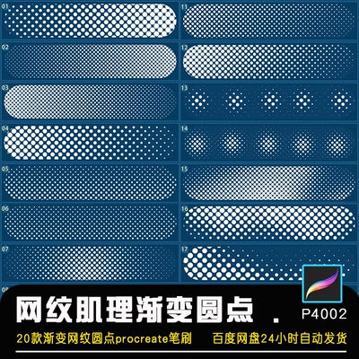procreate笔刷PS彩色网纹半调圆点格点线条肌理笔触手绘素材P4002
