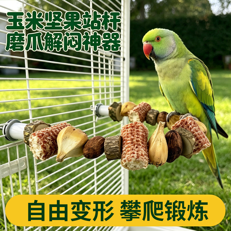 新款鹦鹉玩具站架站杆攀爬梯架磨牙鸟类用品鸟笼配件牡丹虎皮用具