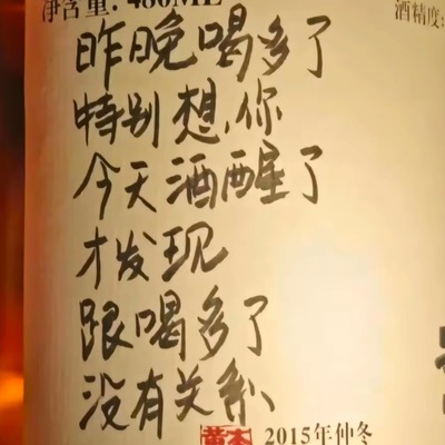 执言 黄酒 480ml   爆火文案 昨晚酒喝多了 特别想你