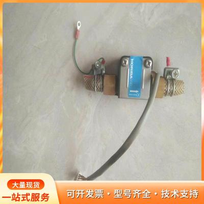 HORIBA 流量计  LD10-PATAAA-RCP