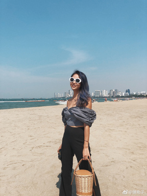 澳洲黑白格纹泡泡袖V领百搭上衣