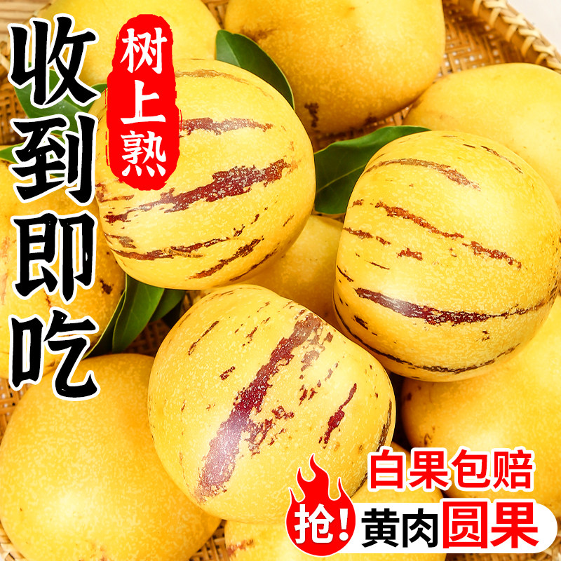 云南人参果水果5斤大果黄肉新鲜石林人叁果树上熟人生果圆果整箱