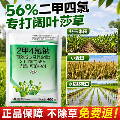56%二甲四氯钠小麦田除草剂