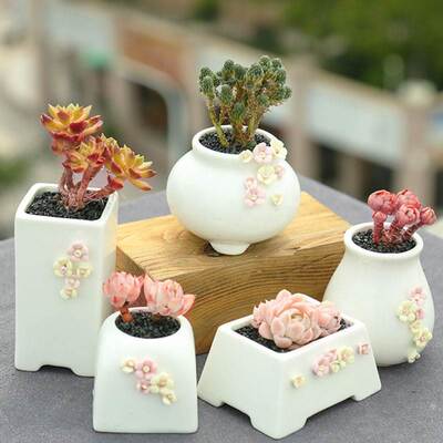 Factory direct fleshy flowerpot ceramic combination set