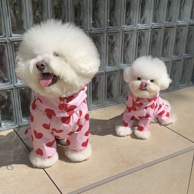 韩国宠物狗狗防水全包雨衣雨披中小型犬四脚连帽泰迪比熊狗狗雨衣