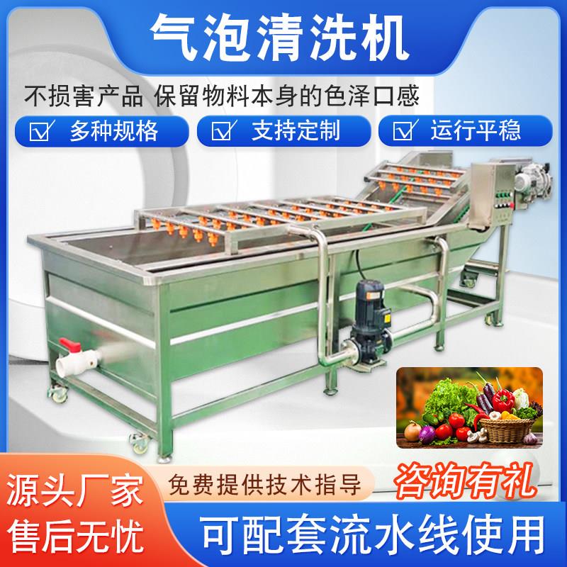 全自动喷淋式果蔬气泡清洗机冬枣柿子清洗加工设备叶菜类清洗机