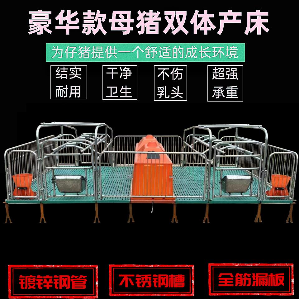 双体母猪产床加厚型母猪产床全套一整套产保一体两用带漏粪板新款