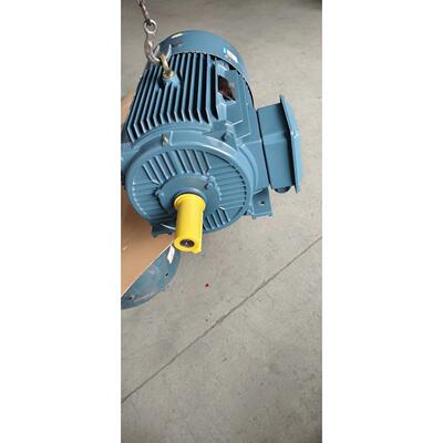 厂家直销三相导步电动机全铜马达型号280SYE355W一4P