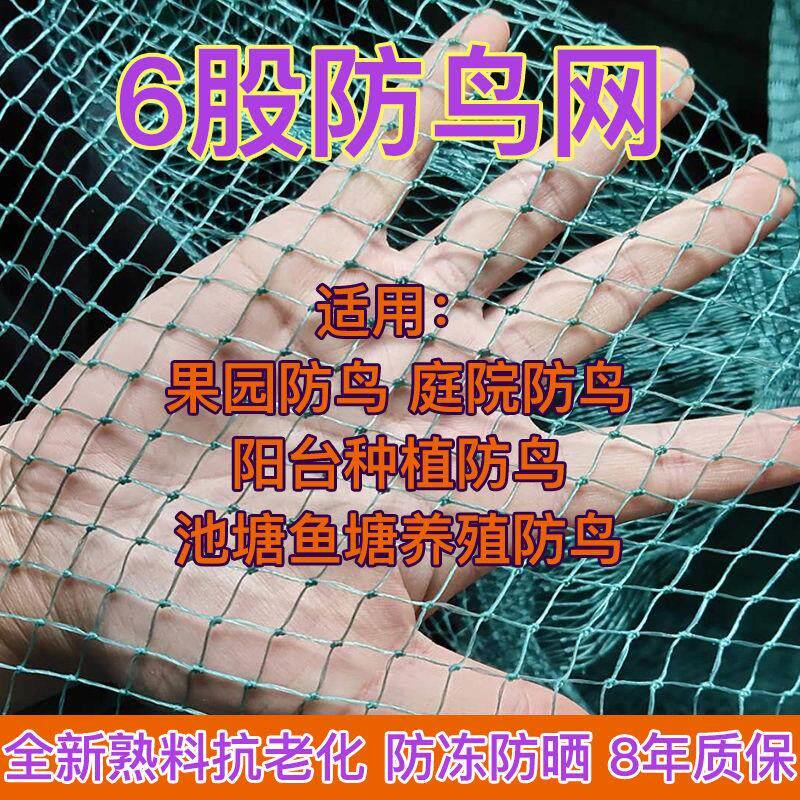 果树防鸟用网尼龙线网罩果园防麻雀葡萄蓝莓樱桃网稻谷养殖防鸟网
