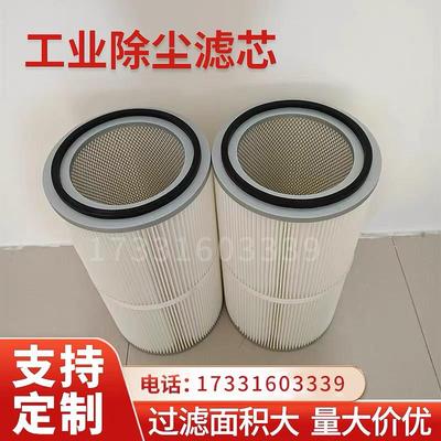 工业除尘滤芯喷粉喷涂车间除尘滤筒脉冲吸尘机扫车空气滤清器滤筒