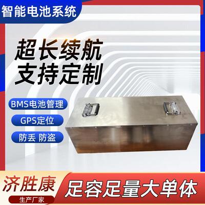 容量超长续航新能大源车锂电55360V12汽5AH电动三轮车四池轮车锂