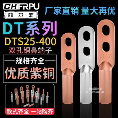 DTS双孔铜鼻电缆紫铜接线耳DTS-25 35接线端子欧式镀锡 厂家直销