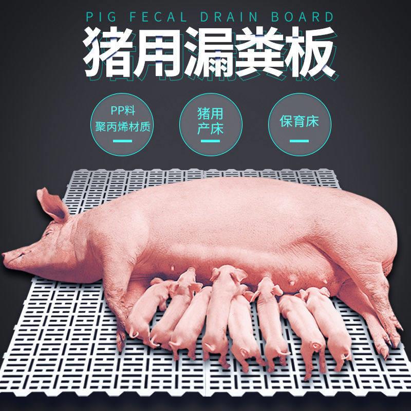 猪用漏粪板母猪产床配件仔猪保育床鸡牛羊兽用塑料接粪板猪圈地板