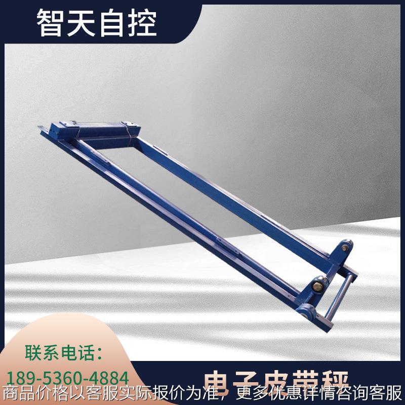 专业供应定量秤ICS-14A-1200大皮带计量秤 变频调速电子皮带秤