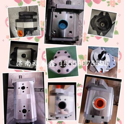 齿轮泵CBW-F306/310/314/316/320/325型拍时确定键型左右旋 台