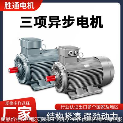 三相异步电动机18.5KW 22KW 80VThree-phase asynchronous motor