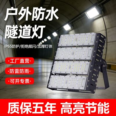 led模组隧道灯户外防水高杆球场灯300W500W仓库车间照明灯投光灯