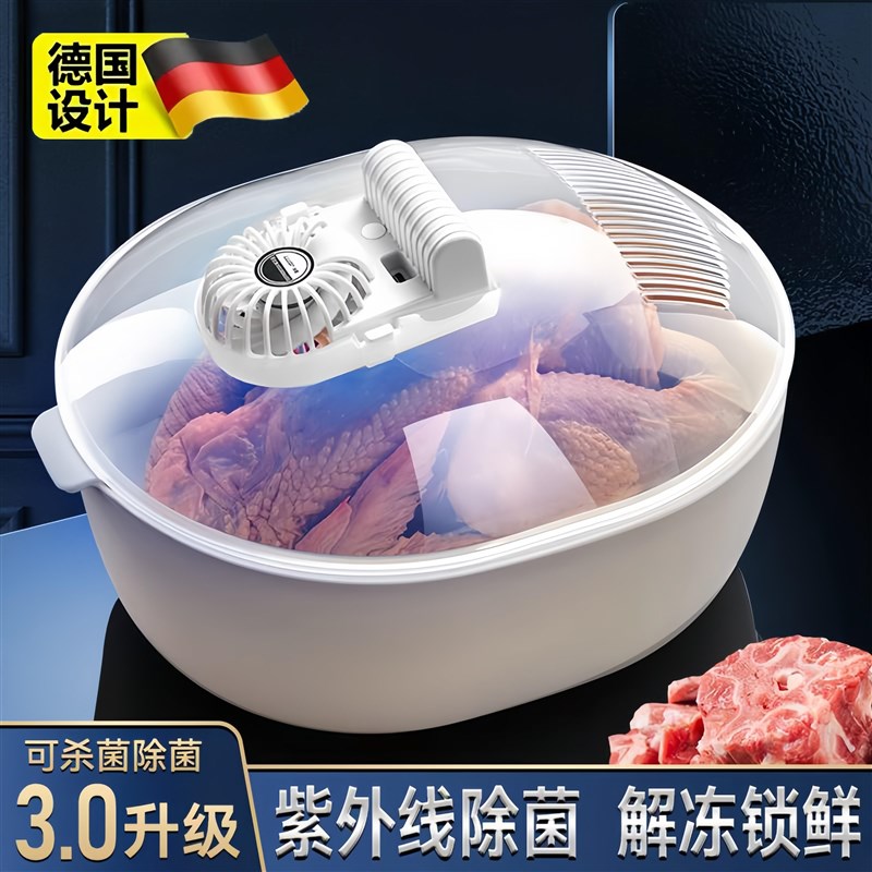 德国解冻器神器保鲜快速家用食物解冻机商用食品肉化冻盘牛排恒温