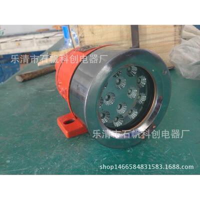 DGY9/24L,DGY9/24L矿用机车照明灯 bxa DGY9/24L(AEBZ-200