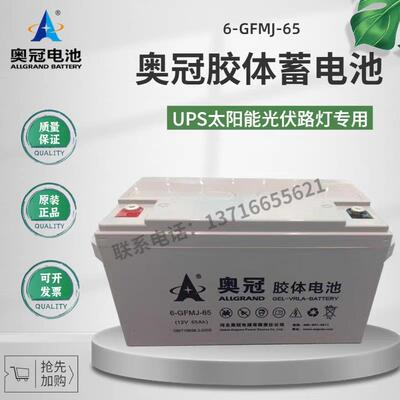 奥冠胶体蓄电池6-GFM12V100AH12V65AH12V150AH12V200AH12V120AH
