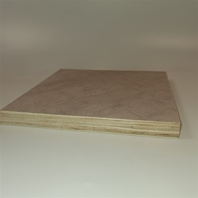 实木免漆板5-18mm多层生态板饰面板衣柜橱柜三聚氰胺免漆板