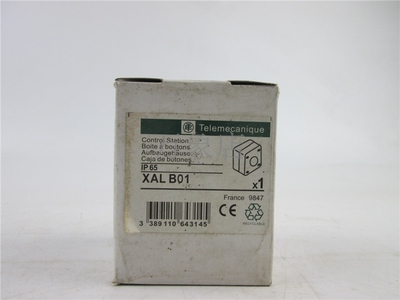 按钮22MMXALB01TELEMECANIQUE
