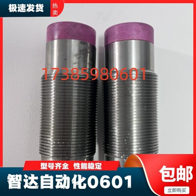 IPF耐高温传感器IN991197