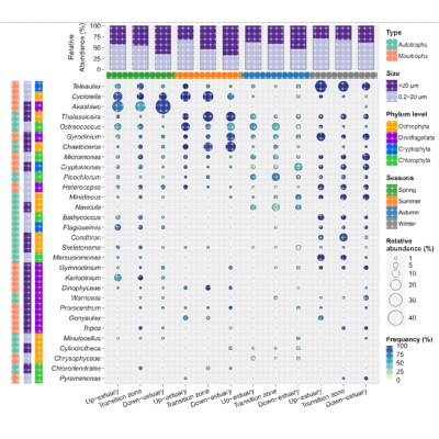 16s/18s/ITS扩增子/宏基因组测序数据分析制图 R代做辅导定制分析