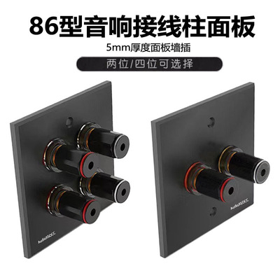 AudioXSOCC86型音响接线柱面板